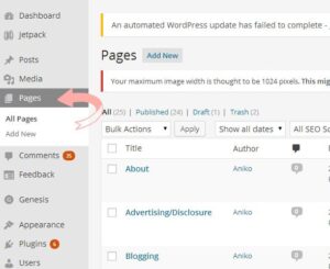 HOW TO CREATE A PROJECT GALLERY FOR WORDPRESS BLOG - Place Of My Taste