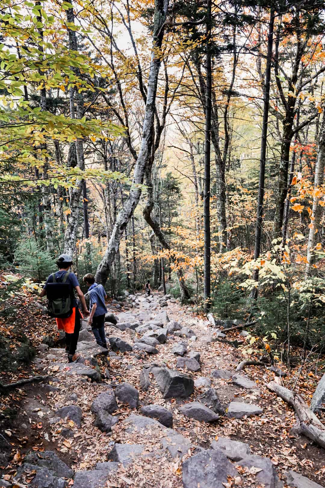 NEW ENGLAND FALL ROAD TRIP - Place Of My Taste